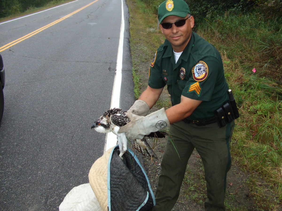 EP 117: From Game Warden to Podcaster (ft. Lt. Wayne Saunders) - CFACT