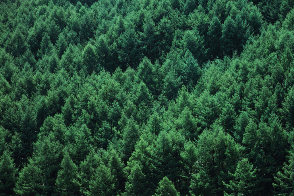 Greenland’s past really was green - CFACT