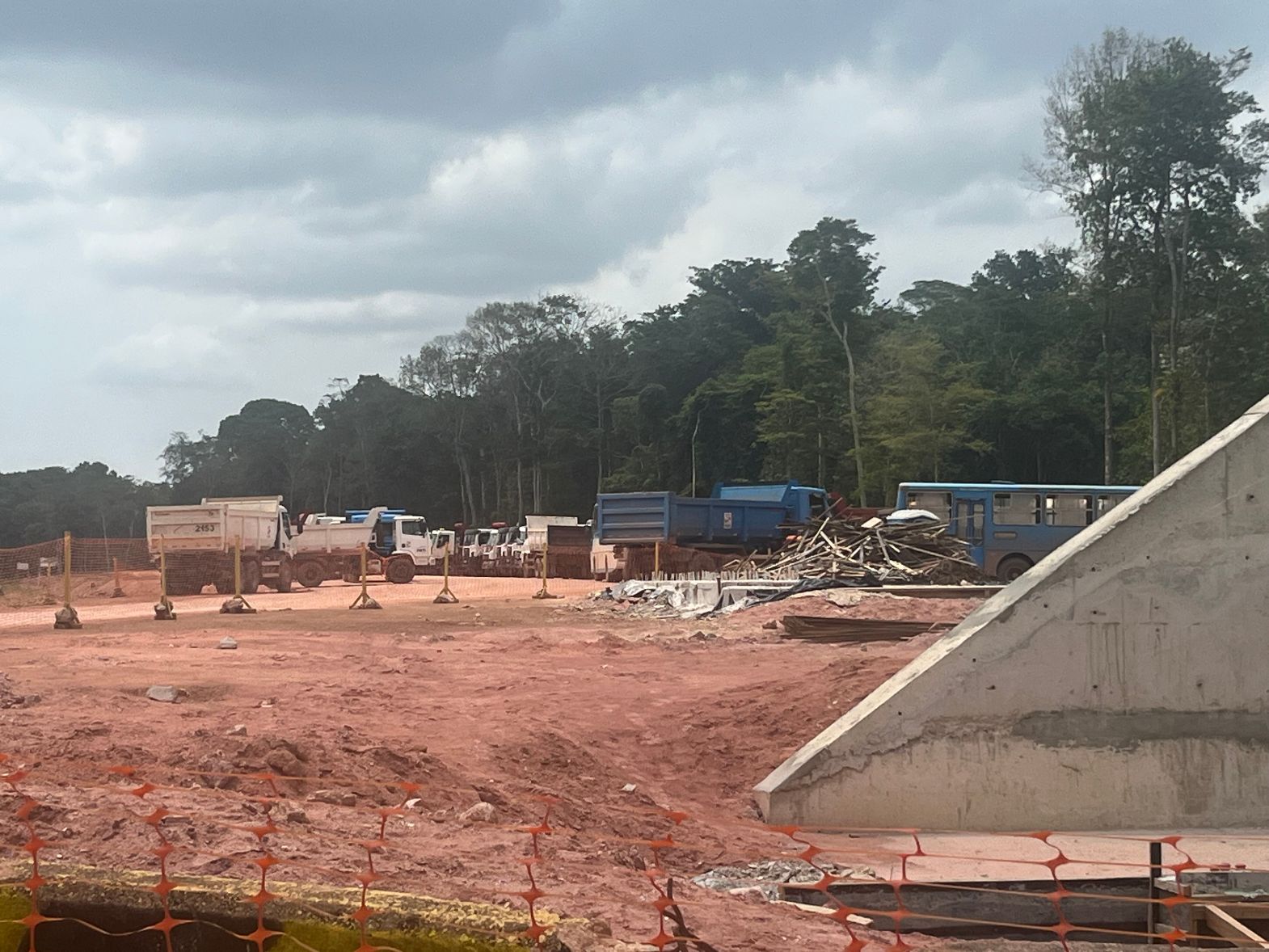 In search of hidden highway clear-cutting the Amazon to UN’s COP30 ...